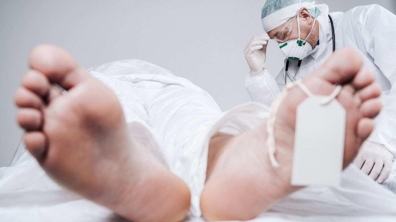 What happens during an autopsy