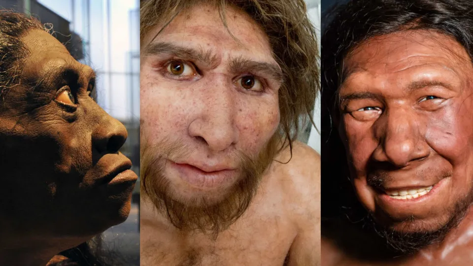 How Different Are We From Past Human Species?
