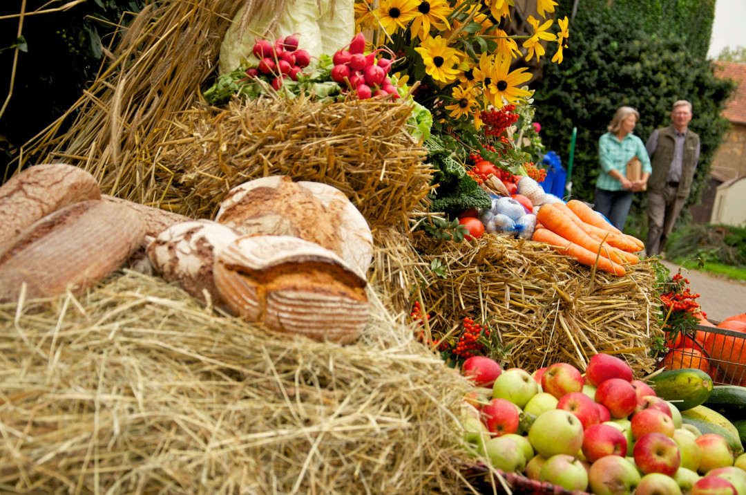 Understanding Lúnasa, the ancient Celtic harvest festival